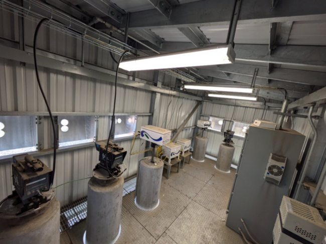 Phillips 66 Case Study - Sensible EDP